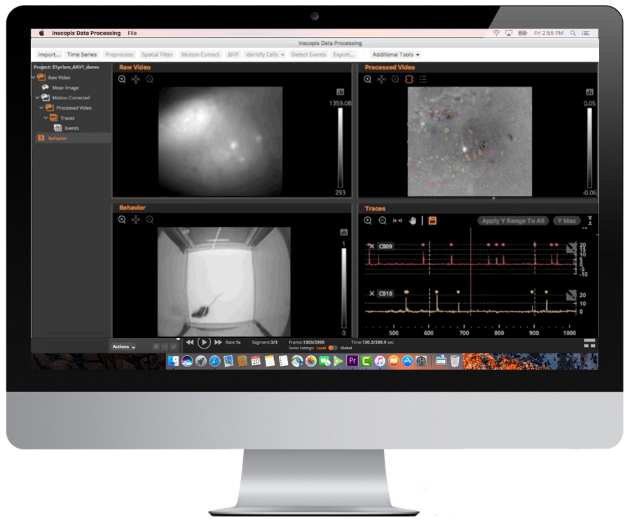 Miniscope_nVue_nVoke_因斯蔻浦(上海)生物科技有限公司