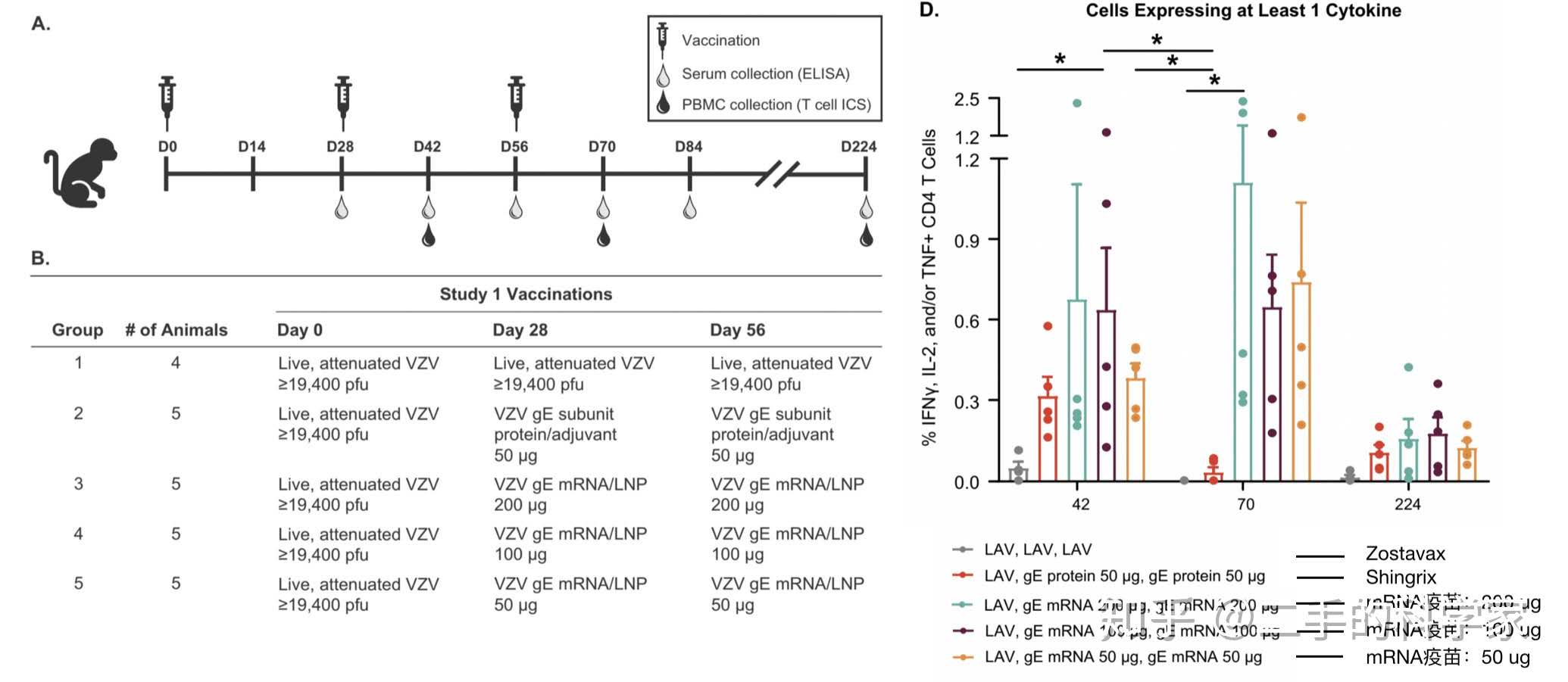 【AVT】进入9月，疫苗临床进展如何-艾伟拓（上海）医药科技有限公司