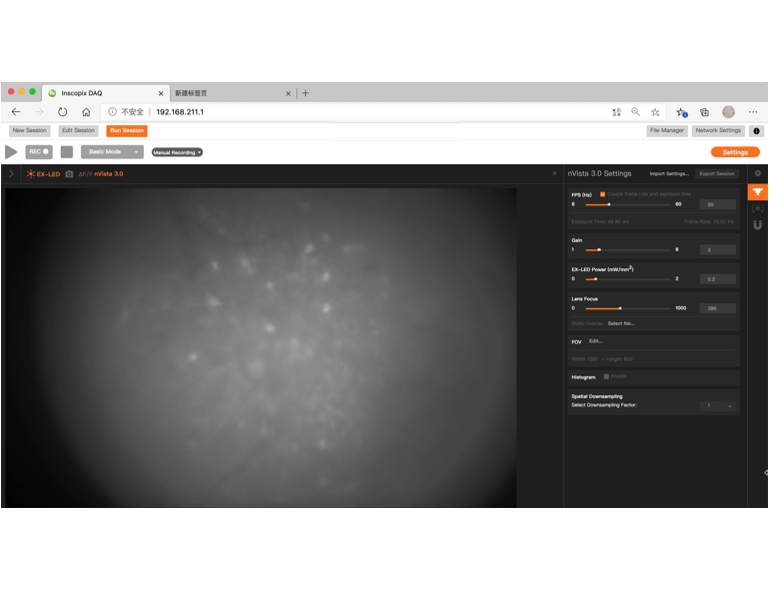 nVoke2.0自由活动钙显微成像-Inscopix-滔博生物