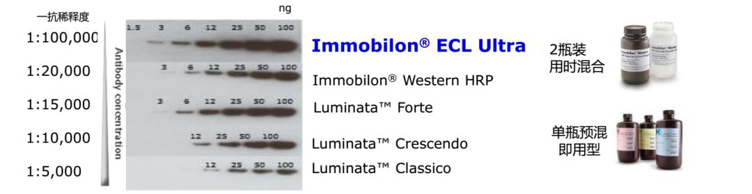 益启生物丨介绍几款Merck 新产品 -上海益启生物科技