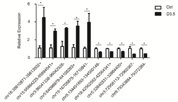 环状RNA让你如何快速发表5分以上文章------套路在这里！-上海云序生物科技有限公司