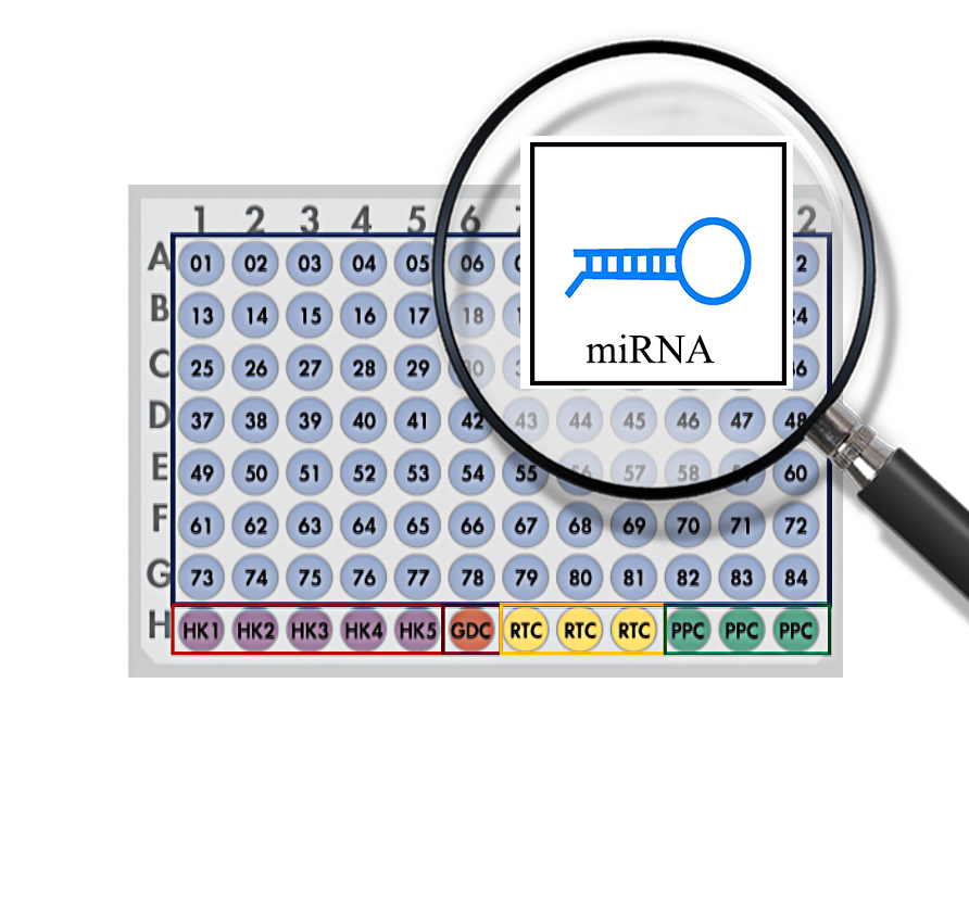 miRNA PCR芯片-上海云序生物科技有限公司