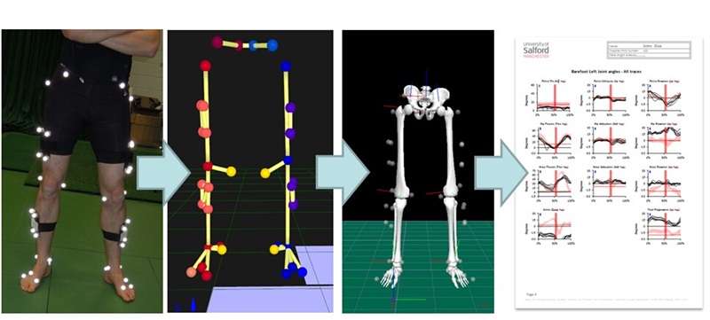 Visual 3D v6 Professional生物力学分析软件_上海形宙数字技术有限公司