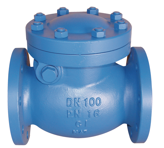 Iron body swing check valve